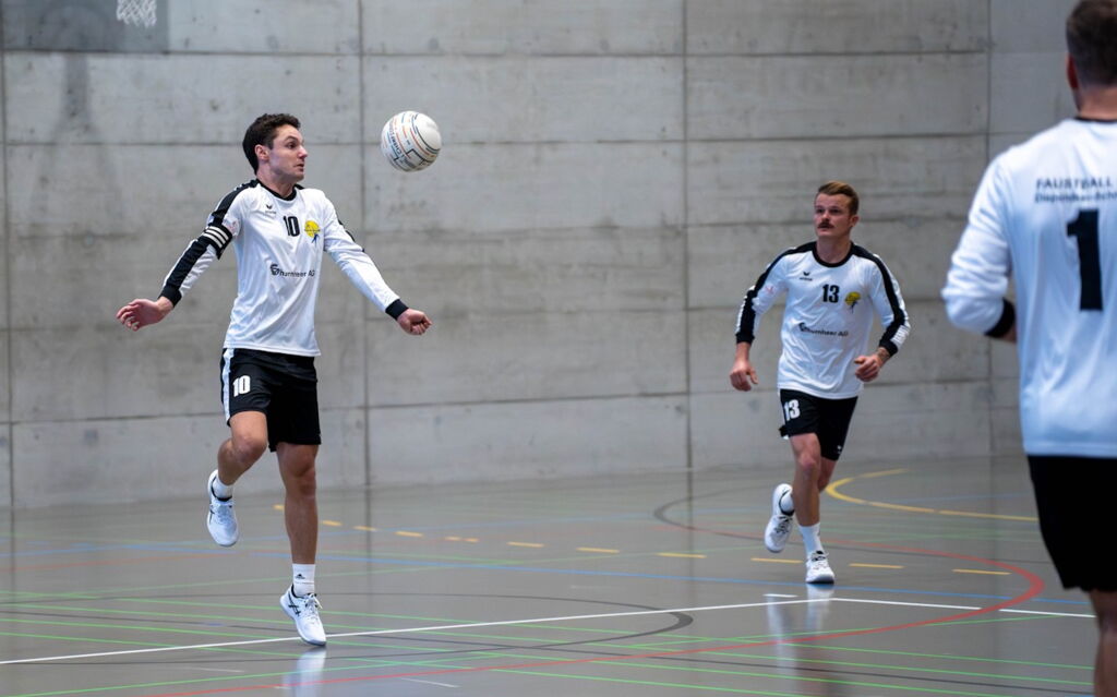 Home - swissfaustball.ch