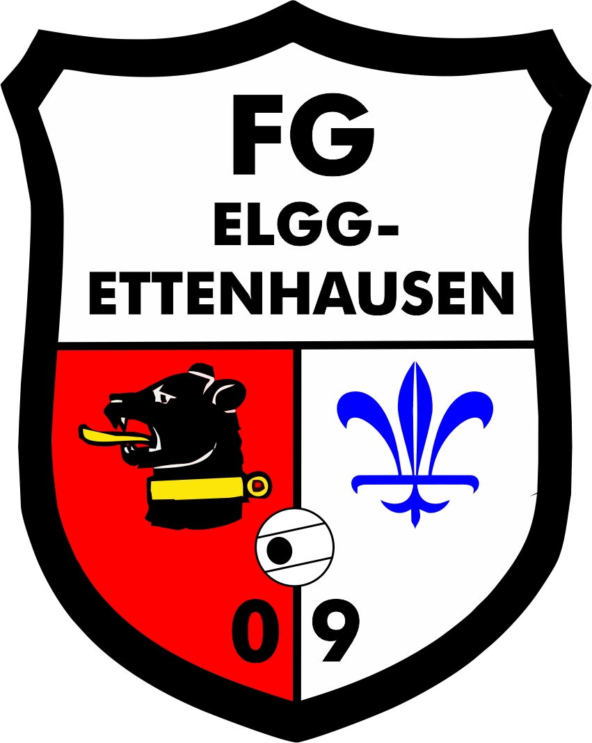 Nationalliga A - swissfaustball.ch